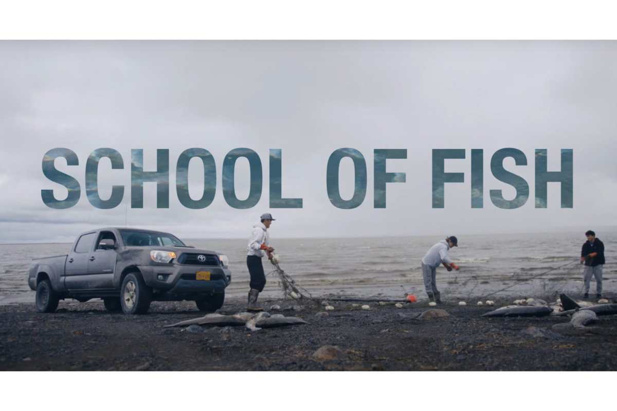 Watch “School of Fish” today | Bristol Bay Fly Fishing & Guide Academy